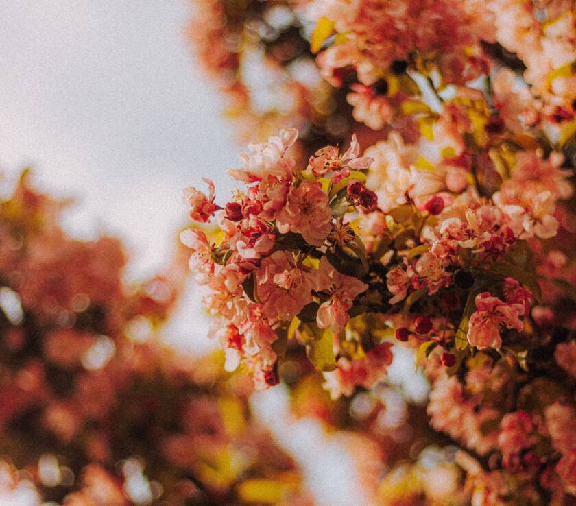 Tim Peters | Live Termine | Offizielle Website von Tim Peters ...